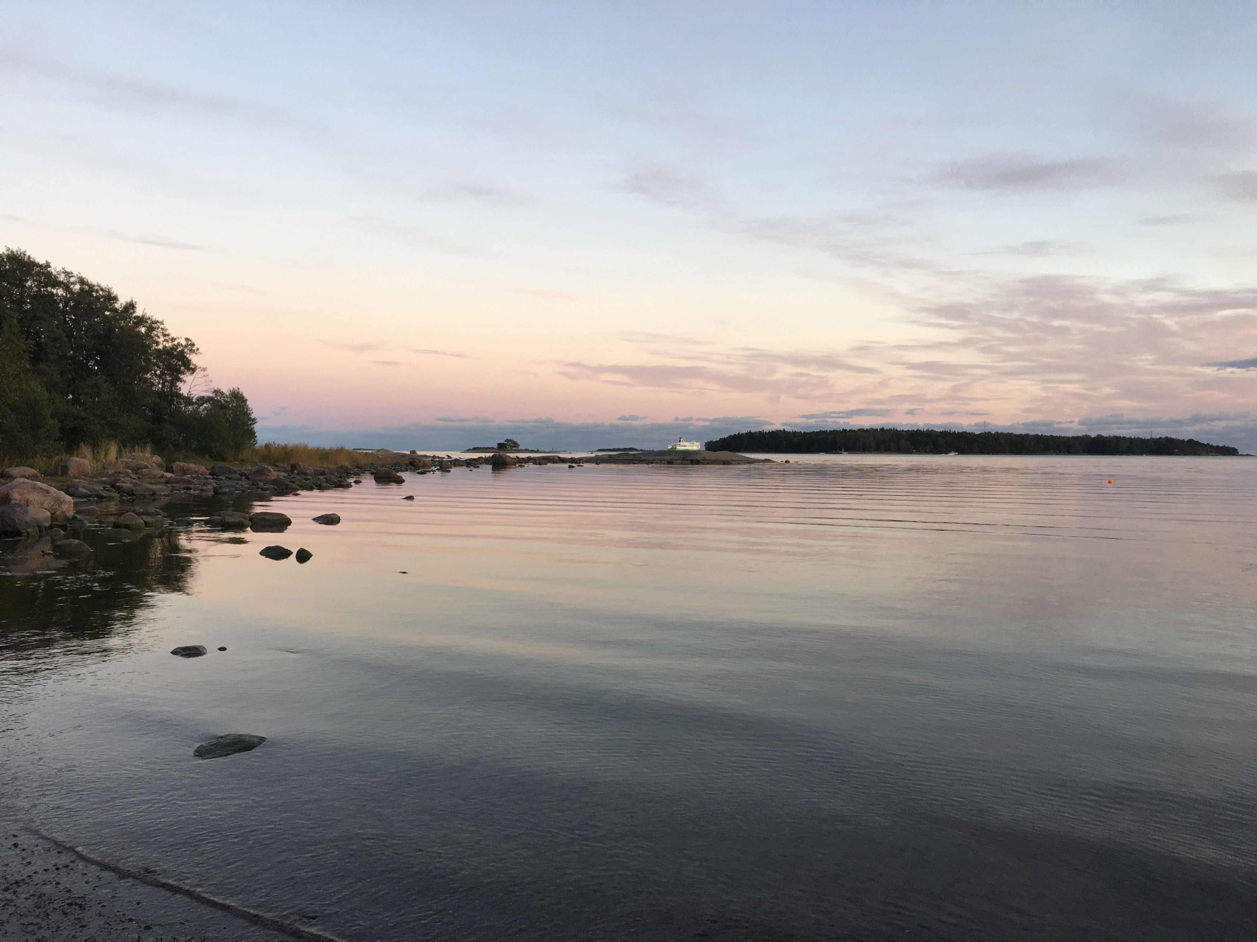 Phenomenal Learning from Finland -seminar