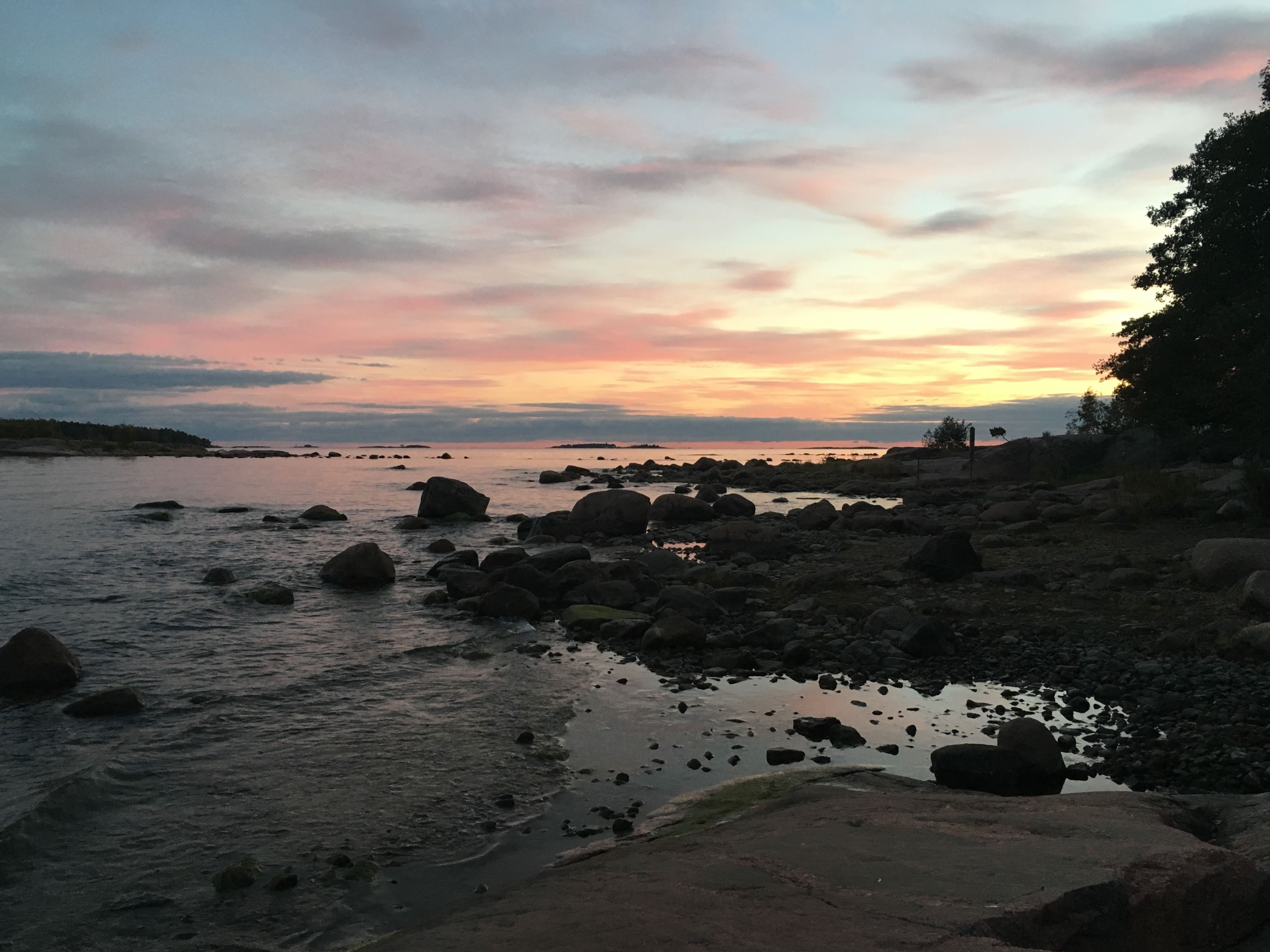 Phenomenal Learning from Finland -seminar